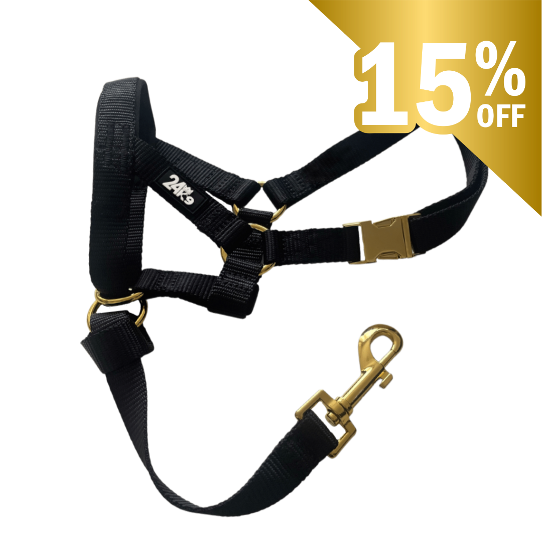 24K9 Kontroller Head Halter - No-Pull Dog Training Solution